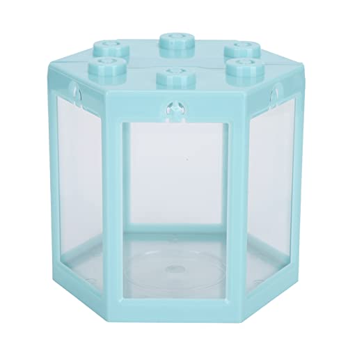 Best Hexagon Shaped Fish Tanks for Small Aquariums – Fish Tank 360