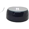Amazon.com: ASENTE LED Light Base for Crystal and Glass Art - Round LED ...