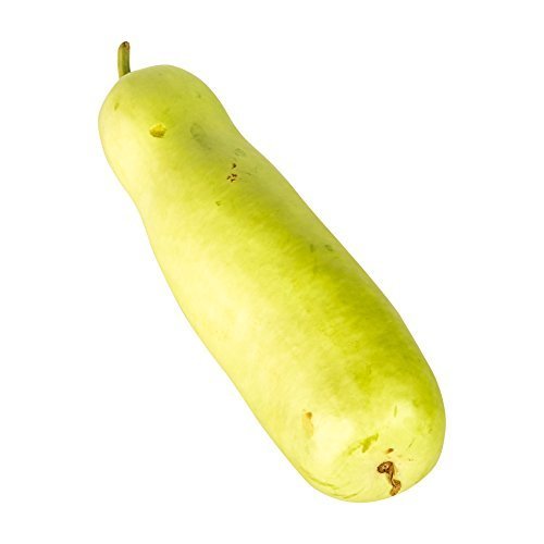 Amazon.com: Opo Squash : Grocery & Gourmet Food