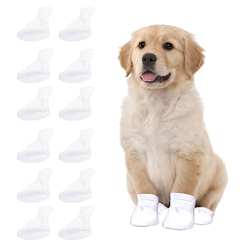 Dog Paw Covers – The 15 best products compared - Wild Explained