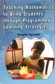 Teaching Mathematics to Blind Students Through Programmed Learning ...