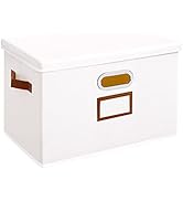 OUTBROS Storage Baskets with Lids, Collapsible Bins for Shelves, Fabric ...