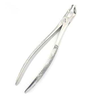 Amazon.com: DDP English Forceps 79 Lower Wisdom : Industrial & Scientific