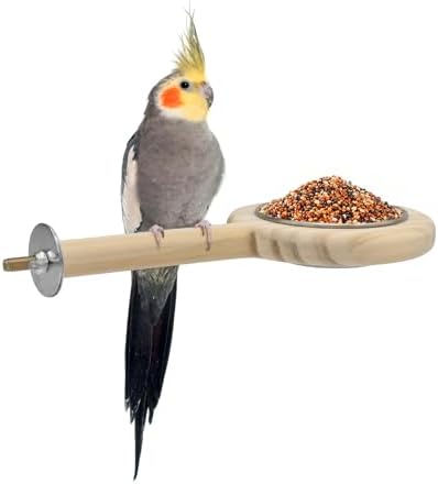 Amazon.com : KATUMO Bird Perch, Parrot Platform Bird Wood Stand with ...