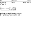 DIN 7979 / ISO 8735 Zylinderstifte mit Innengewinde Stahl D 10 x 32 S 10 Stk : Amazon.de: Baumarkt