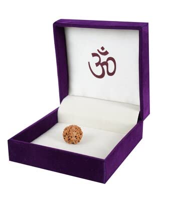 Royal Gems Shiv Rudrashtakam 1 Mukhi GOL Dana 1 Face Rudraksha Original ...