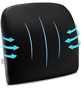 Frido Back Support for Chair & Lumbar Support for Car, Improves Posture ...