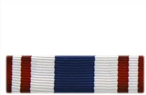 Amazon.com: Genuine US Ribbon Unit: Defense of Freedom : Office Products