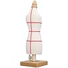 Amazon.com: Dress Form, Mannequin Torso Table Top Display Clothing ...