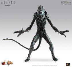 Sideshow Collectibles Hot Toys Aliens Deluxe 16 Inch Model Figure ...