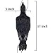 Amazon.com : Etistta 17 inch Realistic Hanging Dead Crows Decoy ...