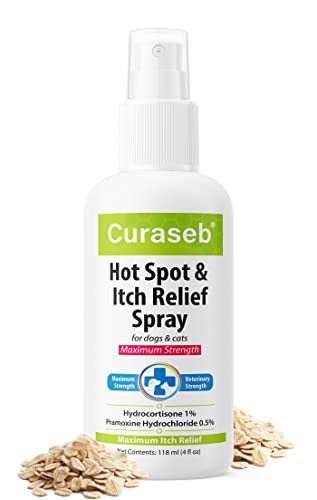 Find The Best Hydrocortisone Spray For Dogs Reviews & Comparison - Katynel