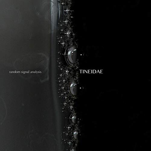 Amazon MusicでTineidaeのRandom Signal Analysisを再生する