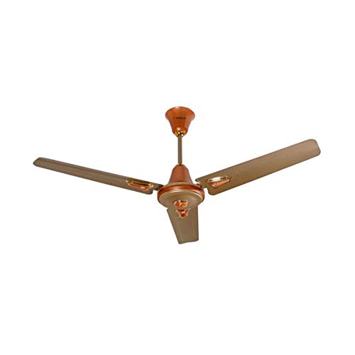 OREVA Tulip Ceiling Fan : Amazon.in: Home & Kitchen