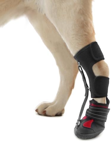 Amazon.com : Disposable Waterproof Dog Boots for Paw Protection, 20 Pcs ...