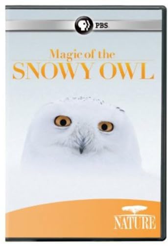 Amazon.com: Nature: Magic of the Snowy Owl : F. Murray Abraham, Chris ...