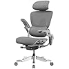 HINOMI H2 Pro Premium Ergonomic Office Chair - Comfy Home Office Desk ...
