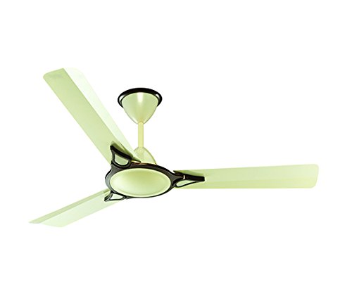 Buy SILKAIR Tulip 1200mm 3 Blades Ceiling Fan (RainbowIvory) Online at ...