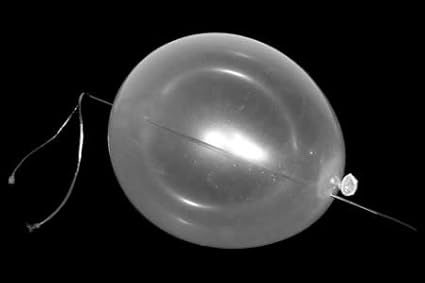 Amazon.com: Needle Thru Balloon : Home & Kitchen