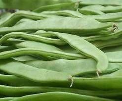 Nelesa Gardening Flat Lima Bean Sem Bakla Huruli Kai Seed - 25 Seeds ...