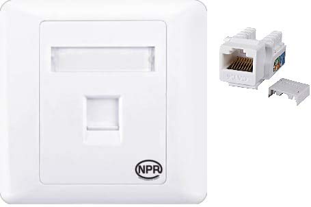 Single Port Face Plate with CAT6 Keystone Jack : Amazon.in: Computers ...