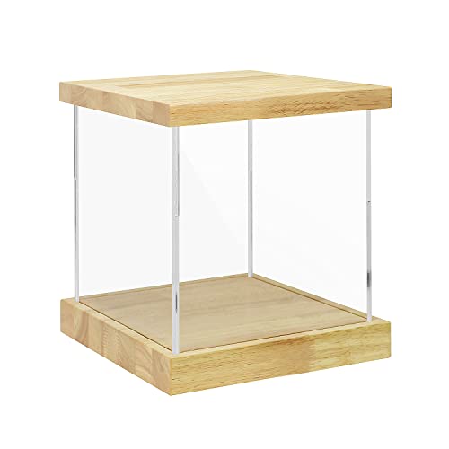 Clear Acrylic Display Case with Solid Butcherblock Base and Top for ...