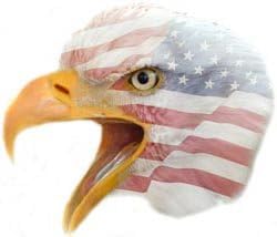 Amazon.com - Eagle Flag Decal Facing Left - 16" h - REFLECTIVE ...