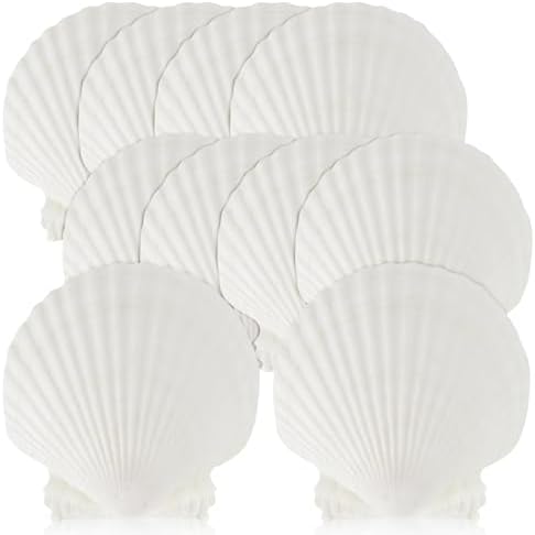 Amazon.com: Wpxmer 15 PCS Natural Sea Shell Large White, 4-4.7 Inch ...
