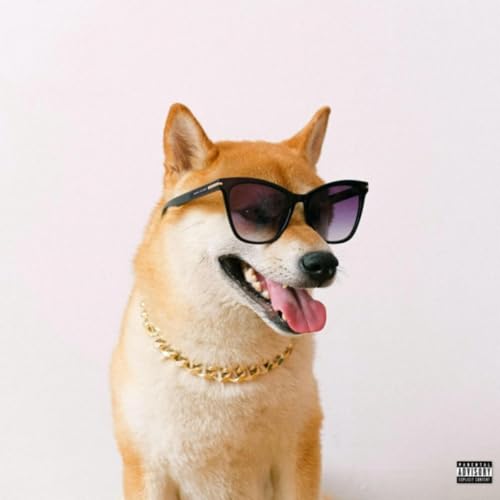 Play The Journey of Diversify by Diversify & Susanne Davis on Amazon Music