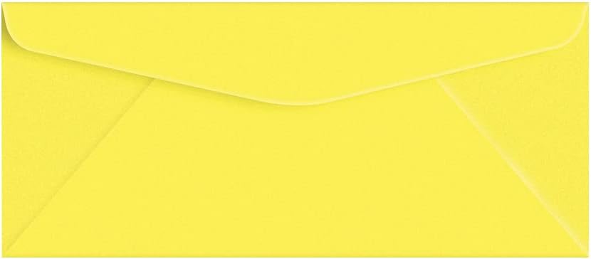 Amazon.com : Orange Bright Color #10 Envelopes - Great for Mailing ...