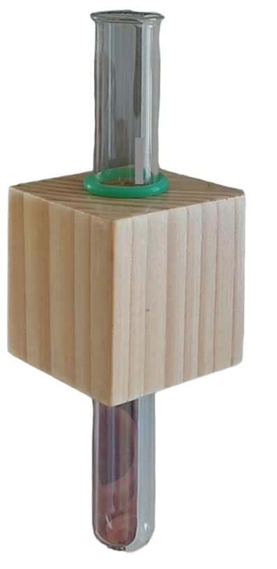 Buy Fridge Magnet Test-Tube Vase - Planter with Magnet, Fridge Magnet ...