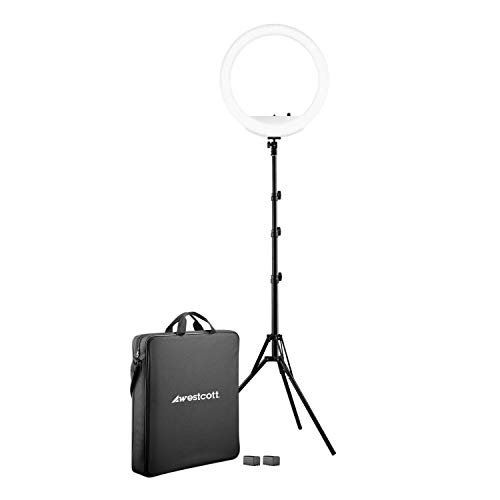 Best Continuous Lights for Photography (Top 10 Picks in 2024)