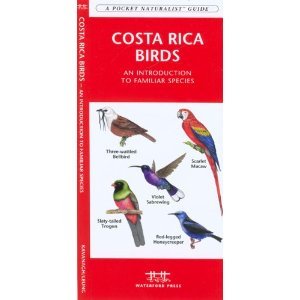 Costa Rica Birds: An Introduction to Familiar Species (A Pocket ...