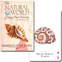 Amazon.co.jp: [Beautiful Variety of Shells] Playing Cards Natural World ...
