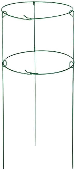 Amazon.com : 18" W x 36" L Double Green Metal Peony Ring Plant Supports ...