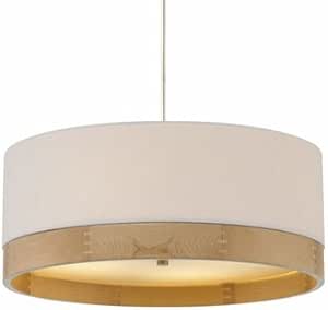Topo Suspension by Tech Lighting - Ceiling Pendant Fixtures - Amazon.com