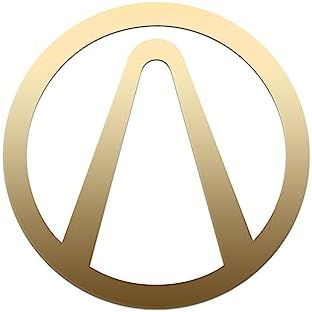 Amazon.com: BLACK COLOR TORGUE BORDERLANDS VIDEO GAME STICKER BIKE WALL ...