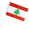 Amazon.com: 25 Pack Hand Held Small Mini Flag Lebanon Lebanese Flag ...