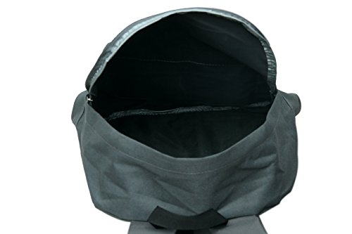 Buy harp 20 Ltrs Dark Grey Casual Backpack (201801041) at Amazon.in