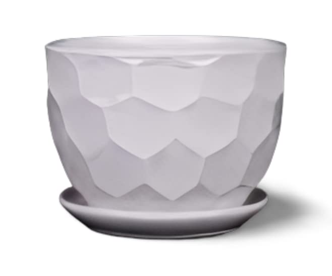 Gold Plant Pots,4.21 Inch Flower Pots with Drainage Holes,Round Indoor ...