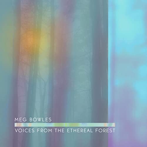 Play Voices from the Ethereal Forest by Meg Bowles on Amazon Music ...