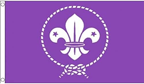AZ FLAG - Drapeau Scouts Violet - 150x90 cm - Drapeau Du Scoutisme 100% ...