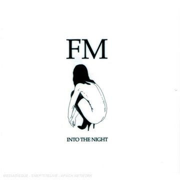 Fixmer, Mccarthy - Into the Night - Amazon.com Music