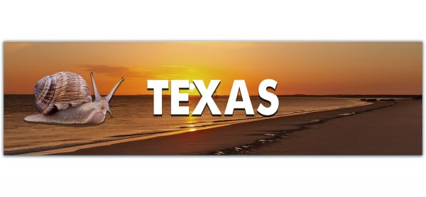 Amazon.com: Texas Bumper Sticker [00019] : Automotive