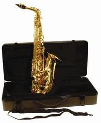 Amazon.com: Roy Benson BAS-101 Alto Saxophone Kit : Musical Instruments