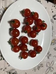 Amazon.co.jp: Washell (ウォッシェル) ホタテ貝より効果のある ほっき貝から出来た 野菜 果物 洗浄 除菌 鮮度保持 パウダー (本体1個) : ドラッグストア