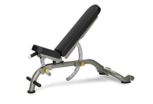 Matrix Multi Adjustable Bench : Amazon.in: Sports, Fitness & Outdoors