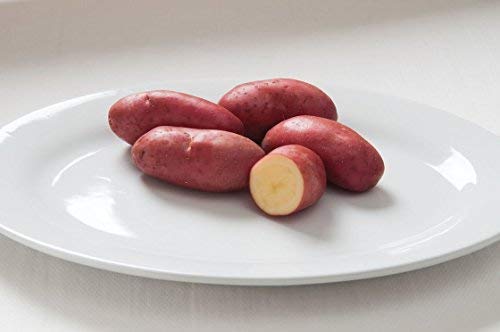 Amazon.com: PRODUCE Organic French Fingerling Potato Bag, 24 OZ ...