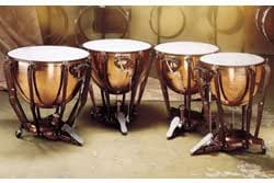 Amazon.com: Ludwig 29In. Pol. Cop. Stand. Timp. W/Out Gauge : Musical ...