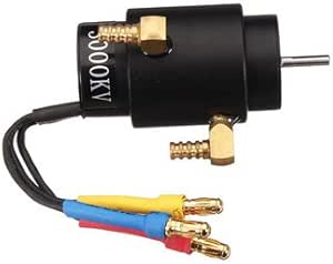Amazon.com: B2040 4000KV/3000KV Inrunner Water Cooled Brushless Motor ...